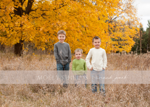 Three cuties | Minnepolis Newborn Photographer | Molly Shields Photography